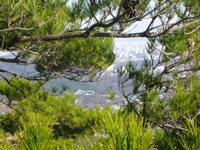 How to Hike Mount Inwangsan: The Best View of Seoul