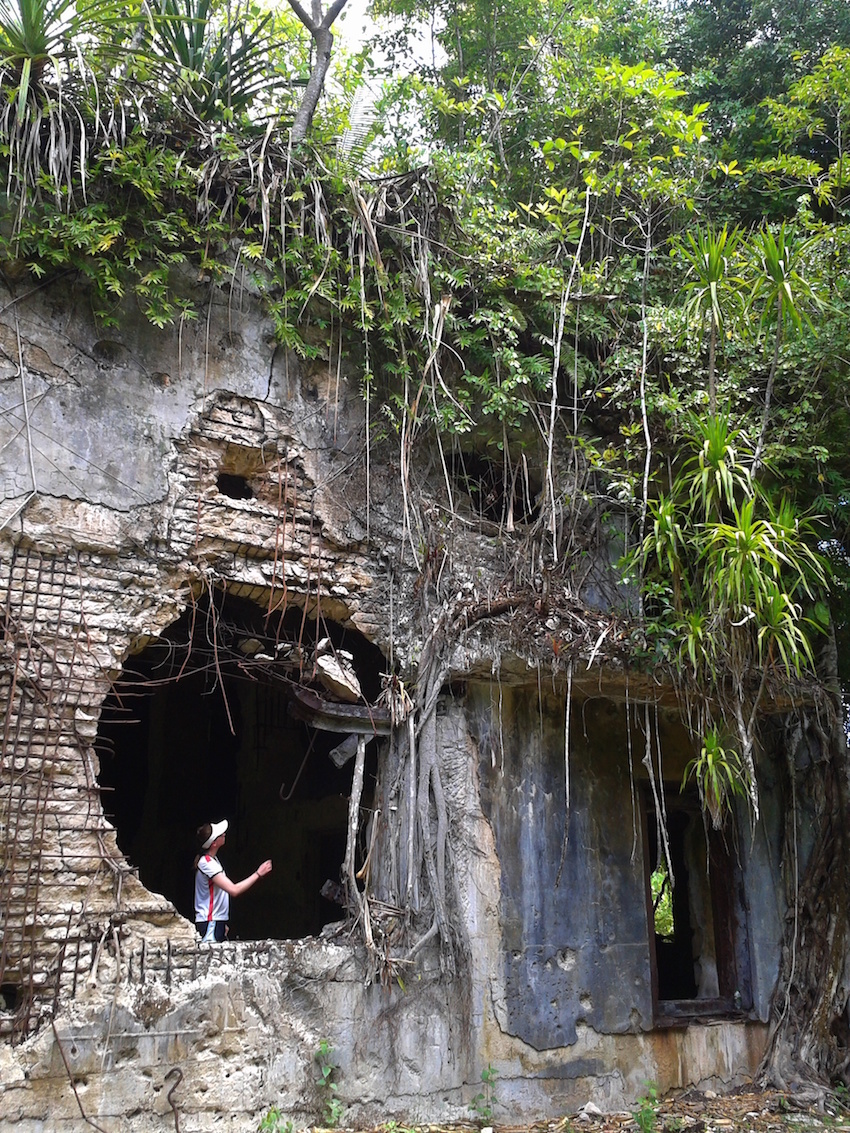 8 Reasons to Visit Palau